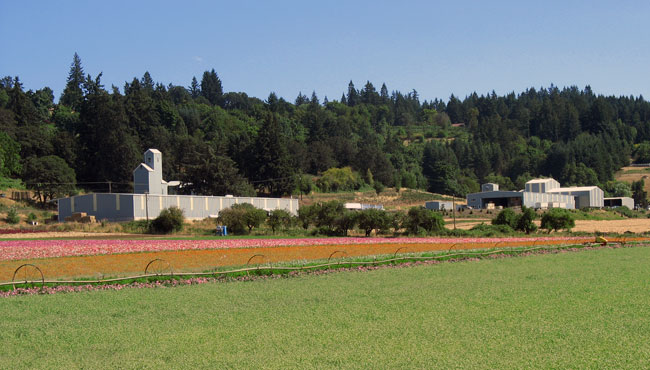 Evans Valley and the central point of Triangle Farms, Inc. - Oregon ...